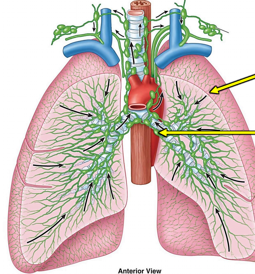 blog – One2One Physical Therapy